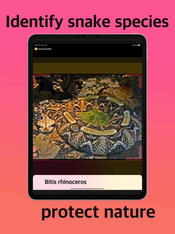 Snake Identifier IPA for iOS Download - PGYER IPAHUB