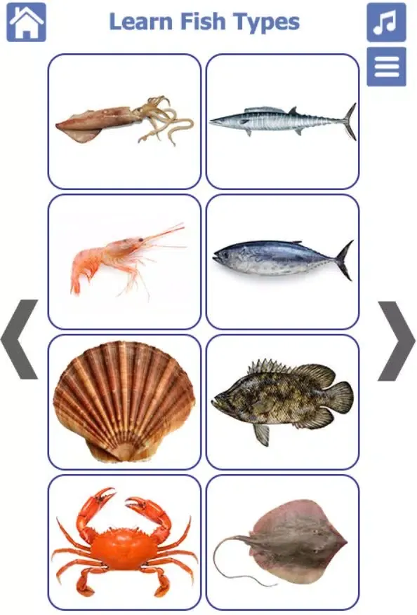 Fish Types APK for Android Download - PGYER APKHUB