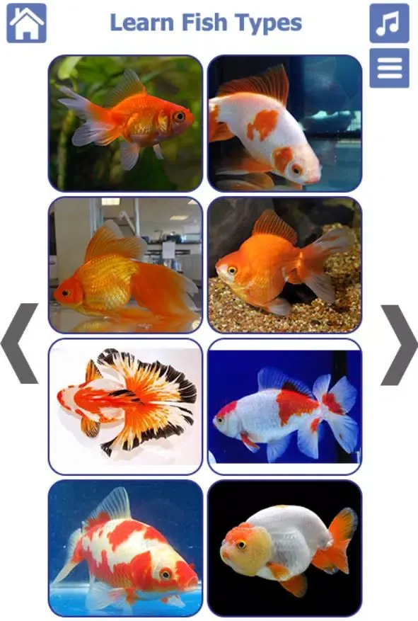 Fish Types APK for Android Download - PGYER APKHUB