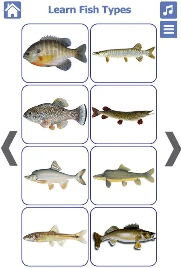 Fish Types APK for Android Download - PGYER APKHUB