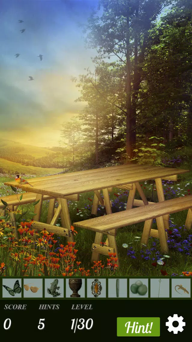 Hidden Object - Summer Garden IPA for iOS Download - PGYER IPAHUB