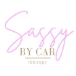 Sassy by Car IPA for iOS Download - PGYER IPAHUB