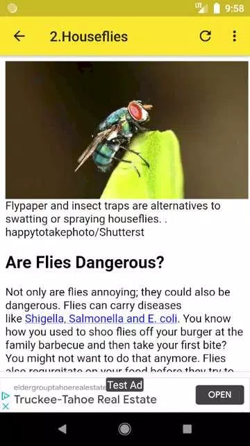 How to Get Rid of Insects APK for Android Download - PGYER APKHUB