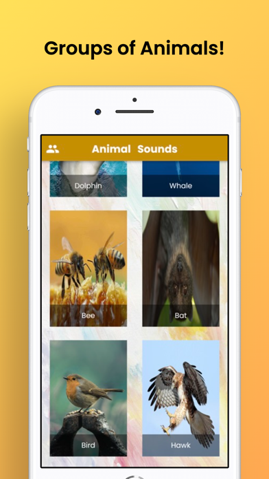 Animal Sounds - Realistic Tone IPA for iOS Download - PGYER IPAHUB