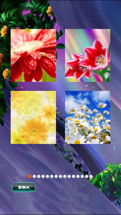 Spring Jigsaw Puzzles IPA for iOS Download - PGYER IPAHUB