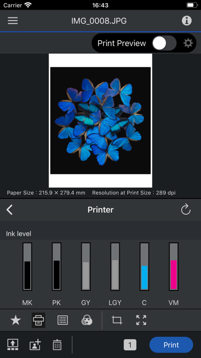 Epson Print Layout IPA for iOS Download - PGYER IPAHUB