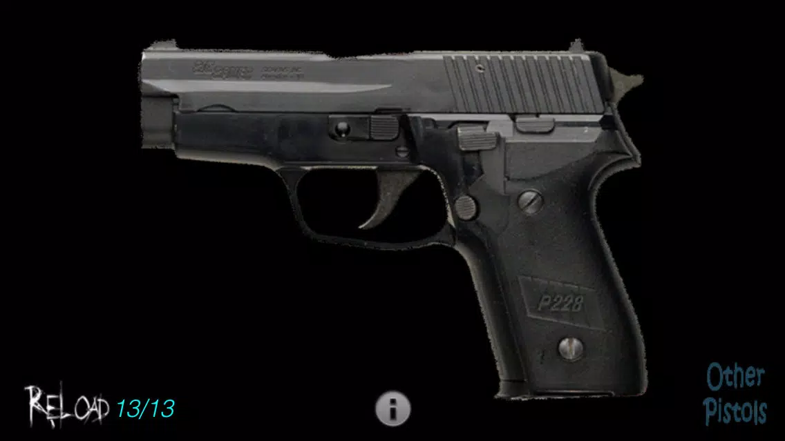 Virtual Guns & Pistols IPA için iOS İndir - PGYER IPAHUB