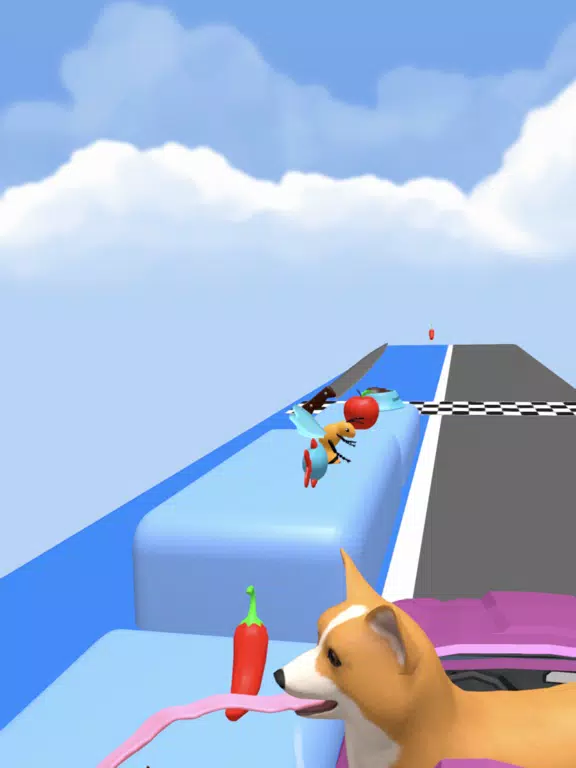 Doge Run 3D IPA for iOS Download - PGYER IPAHUB