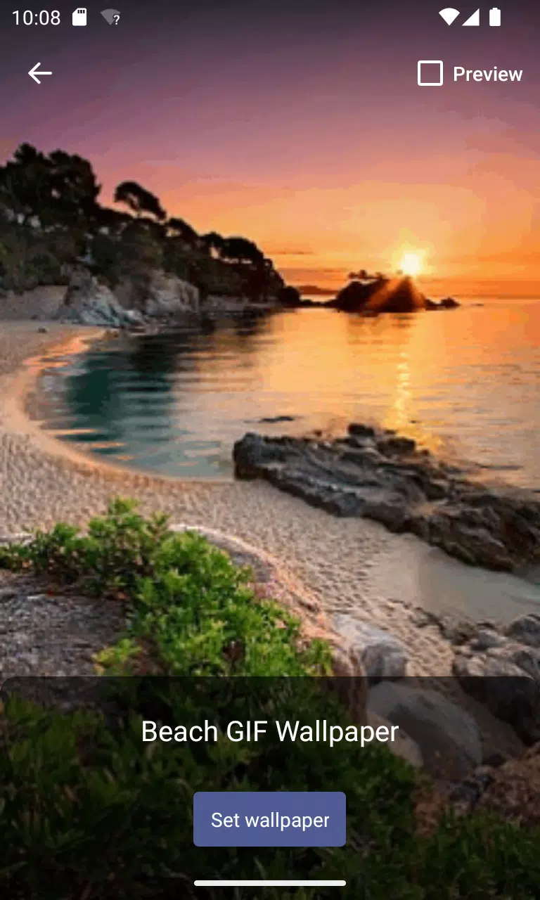 Beach GIF Wallpaper APK for Android Download - PGYER APKHUB
