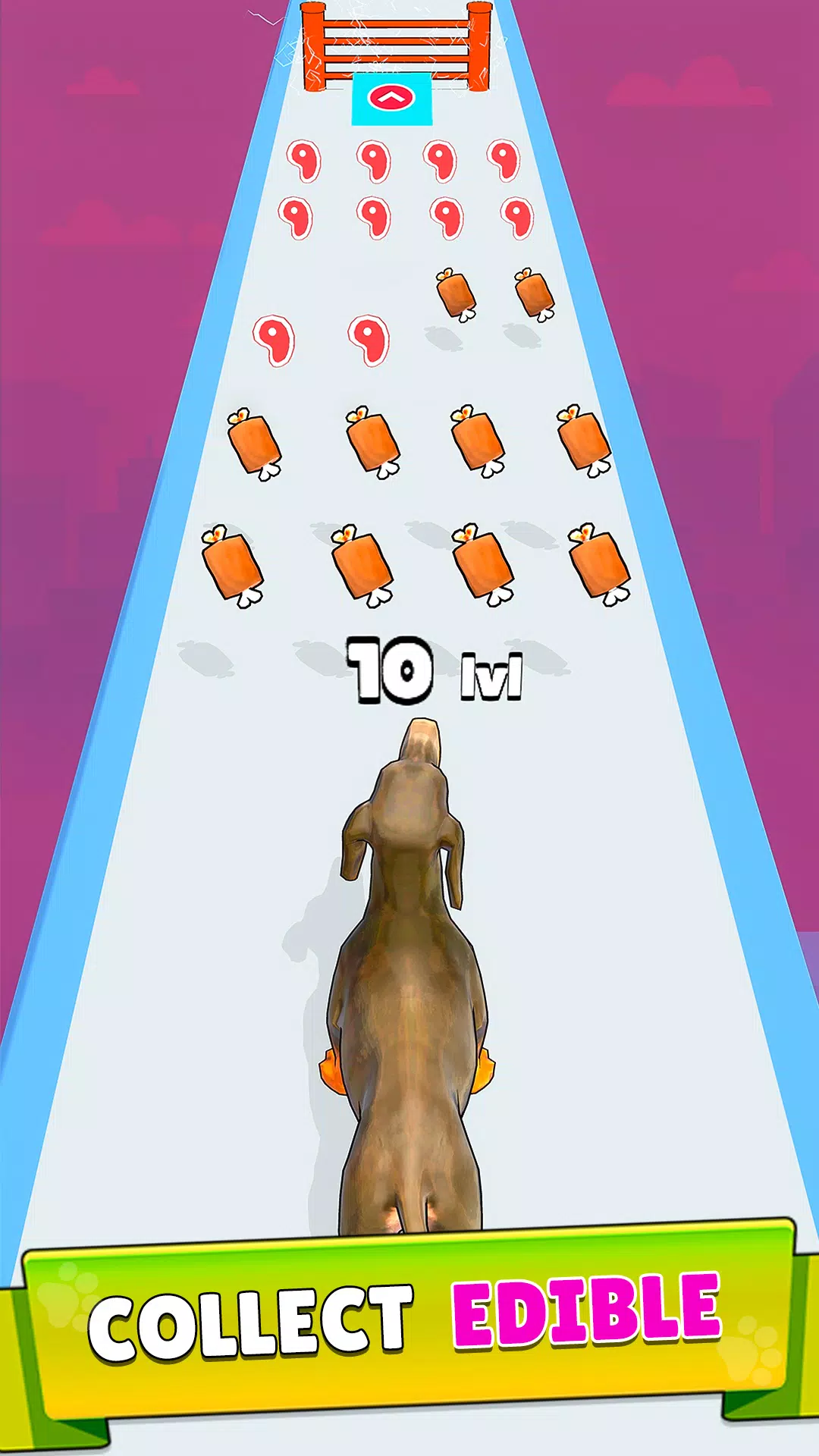 Dog Evolution Run APK for Android Download - PGYER APKHUB