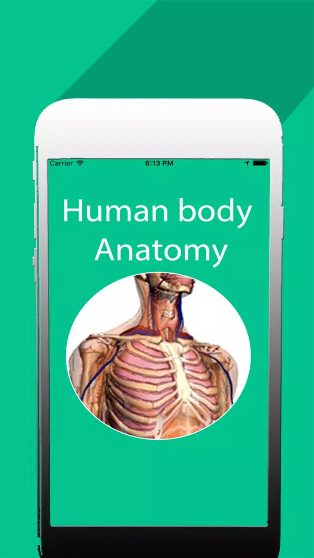 Organs of human body IPA for iOS Download - PGYER IPAHUB
