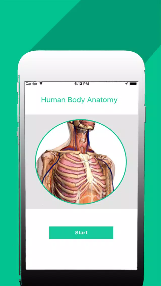 Organs of human body IPA for iOS Download - PGYER IPAHUB
