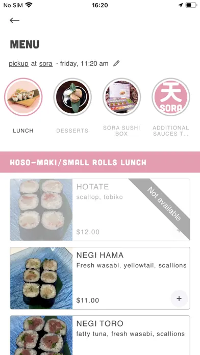 SORA Official IPA for iOS Download - PGYER IPAHUB