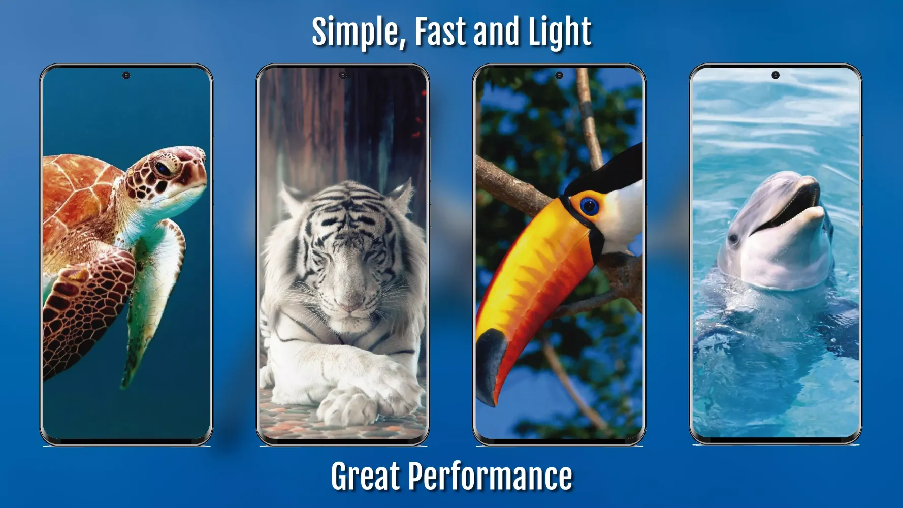 Animal Wallpapers APK for Android Download - PGYER APKHUB