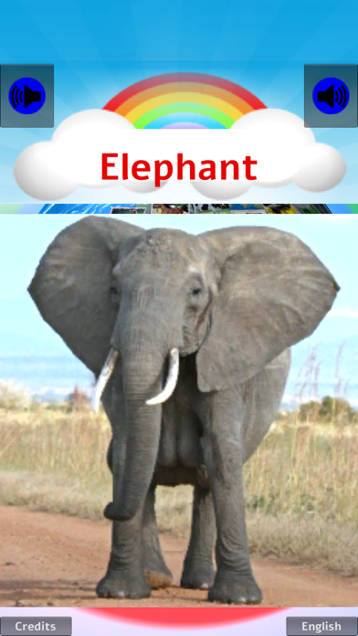 100 ANIMALS PICTURES & SOUNDS IPA for iOS Download - PGYER IPAHUB