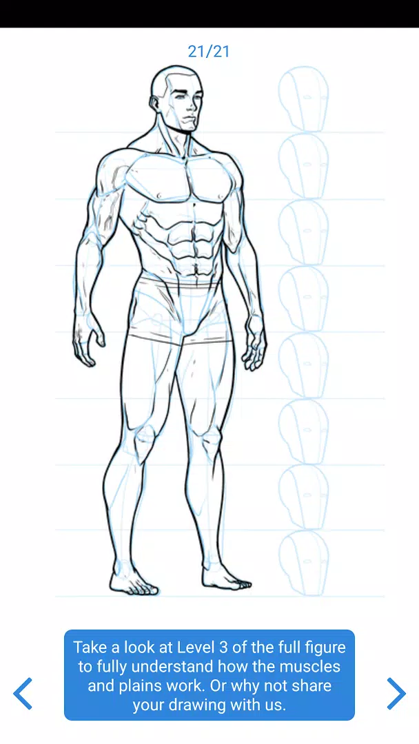 Learn How to Draw for Android Download - PGYER.COM