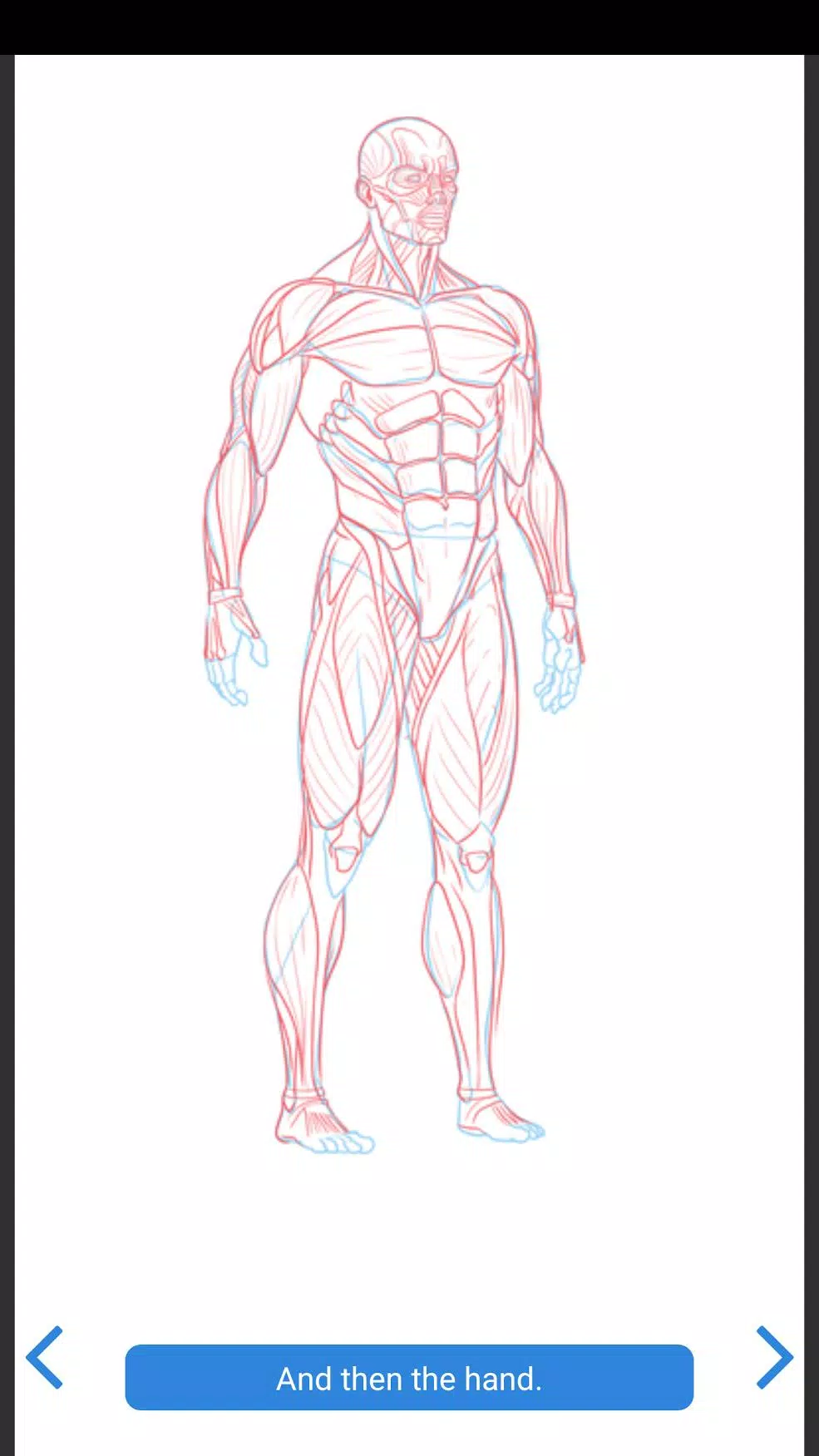 Learn How to Draw for Android Download - PGYER.COM