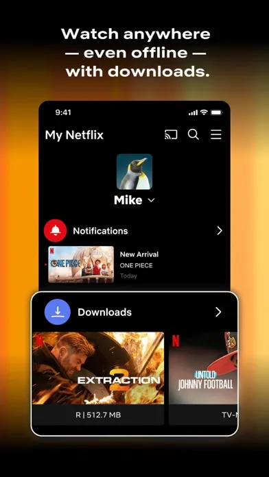 Netflix IPA for iOS Download - PGYER IPAHUB