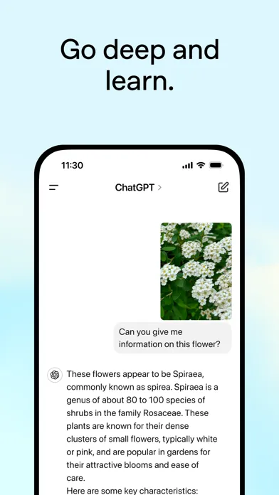 ChatGPT IPA for iOS Download - PGYER IPAHUB