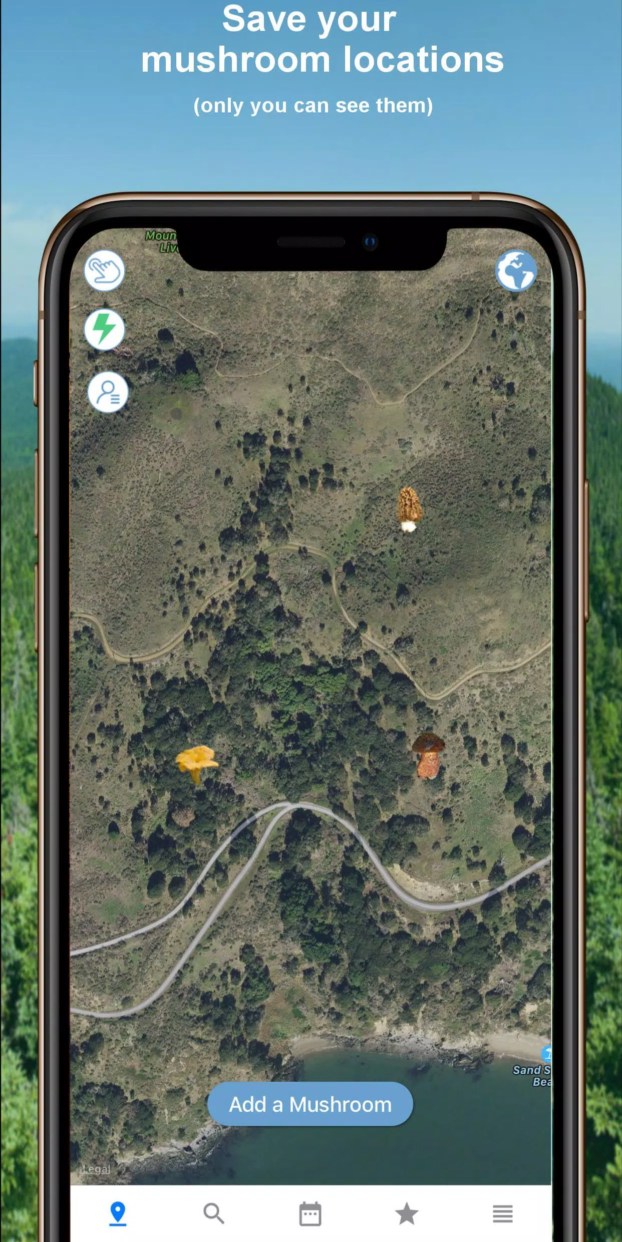 Mushroom Identify - Automatic for Android Download - PGYER.COM