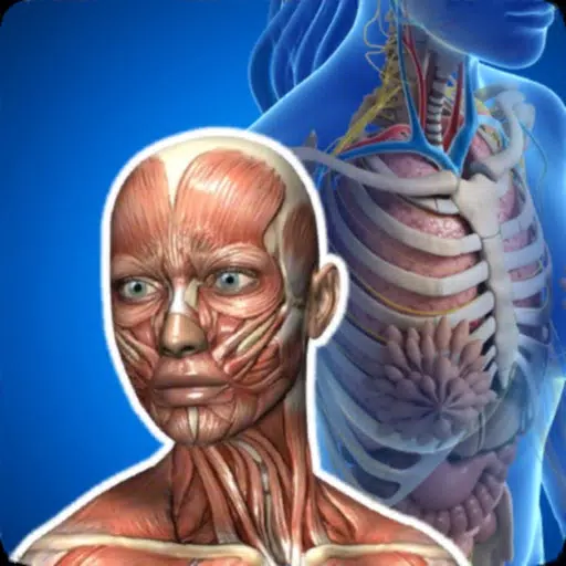 Anatomia Humana - 0001 IPA for iOS Download - PGYER IPAHUB