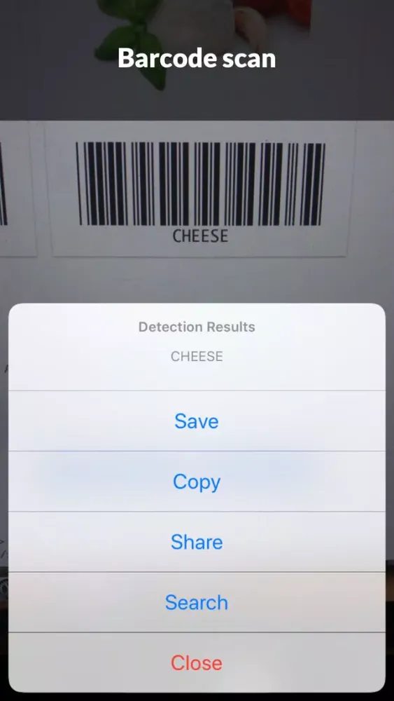 aiScan - Scan Anything With AI IPA for iOS Download - PGYER IPAHUB
