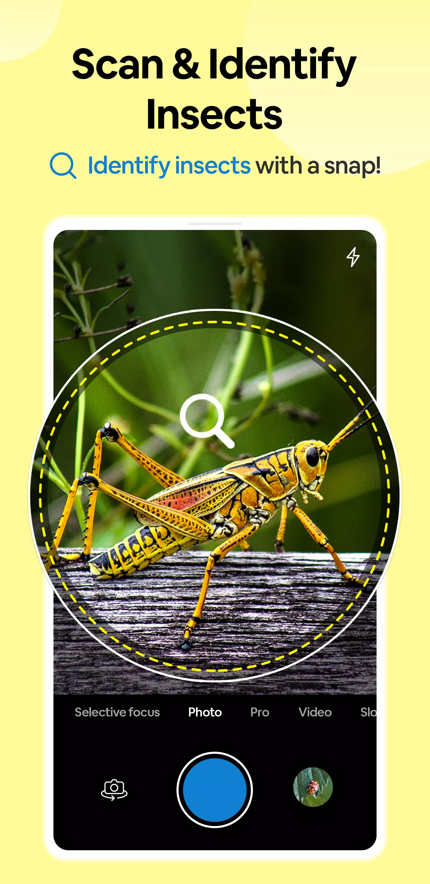 Insect Spider & Bug identifier APK for Android Download - PGYER APKHUB