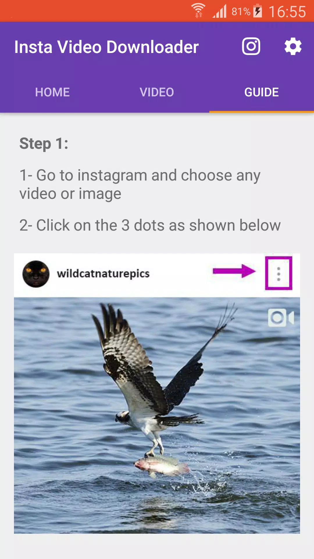 Insta Video Downloader APK: Free Download Latest Now - PGYER APKHUB