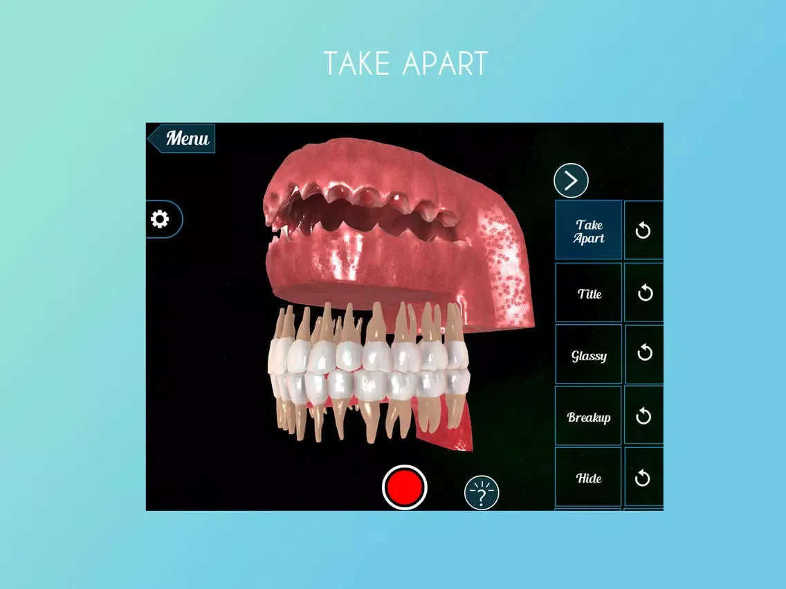 Virtual Reality(VR) Teeth Anatomy IPA for iOS Download - PGYER IPAHUB