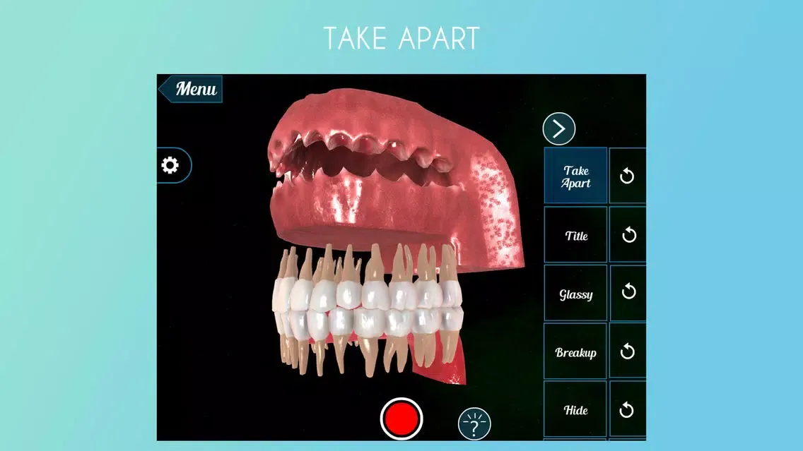 Virtual Reality(VR) Teeth Anatomy IPA for iOS Download - PGYER IPAHUB
