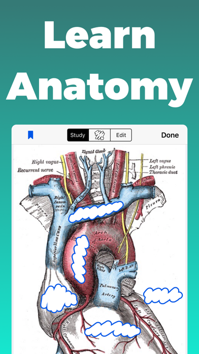 Anatomy and Physiology GOのiOS用IPAダウンロード - PGYER IPAHUB