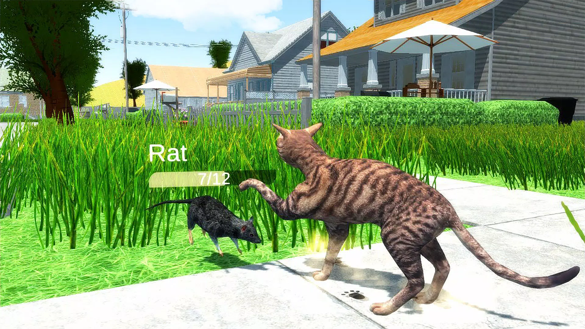 The Cat APK for Android 下载 - PGYER APKHUB The Cat APK for Android 下载 - PGYER APKHUB
