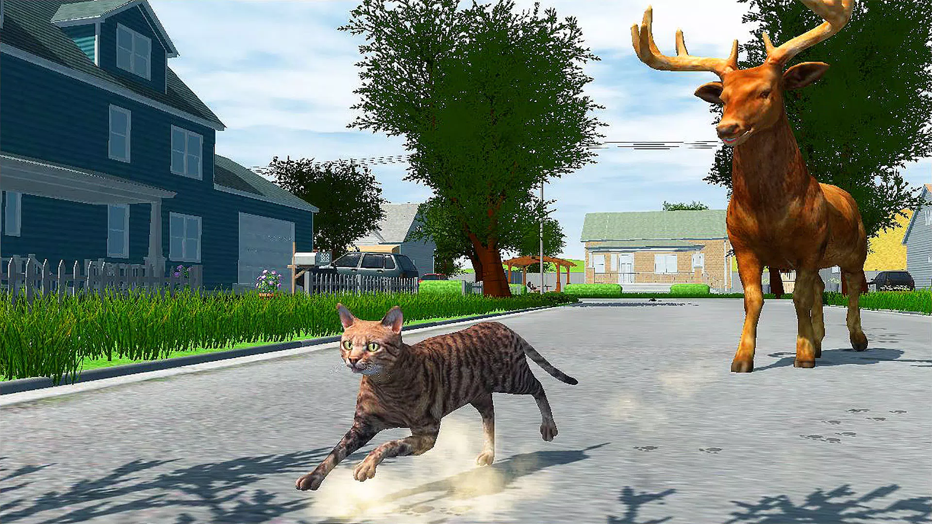 The Cat APK for Android Download - PGYER APKHUB