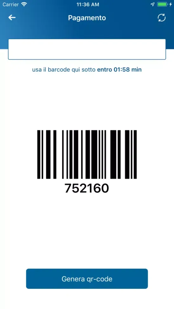 BLUBE Pay IPA for iOS Download - PGYER IPAHUB