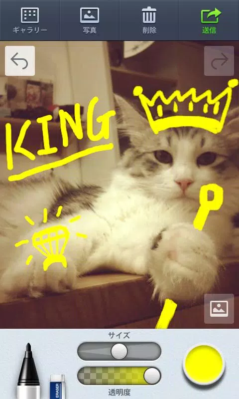 LINE Brush APK for Android Download - PGYER APKHUB