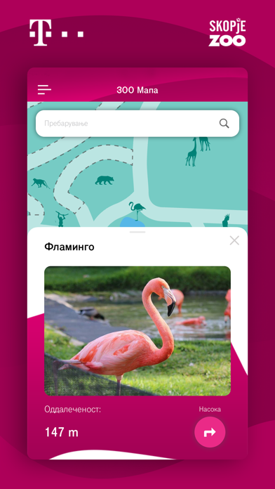 Skopje ZOO IPA için iOS İndir - PGYER IPAHUB