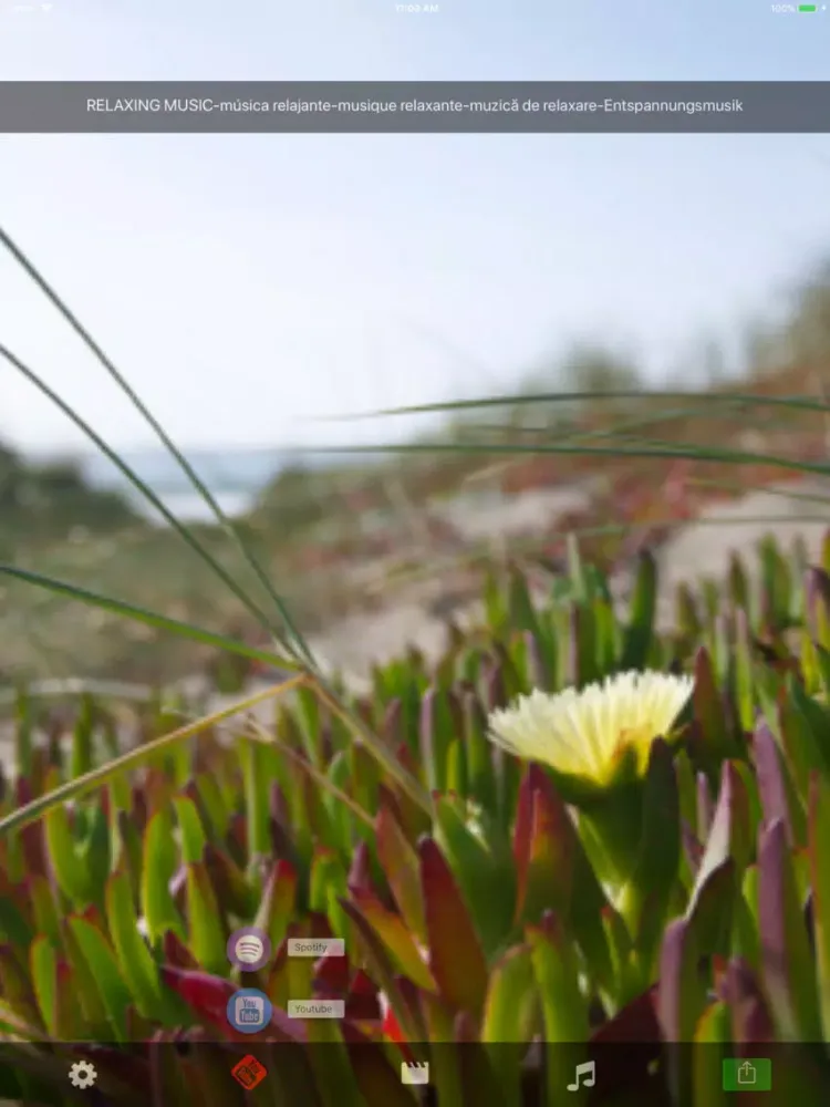 Happ - Music inspired by photo IPA for iOS Download - PGYER IPAHUB