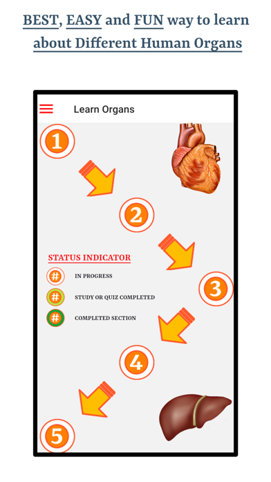 Human Organs IPA for iOS Download - PGYER IPAHUB