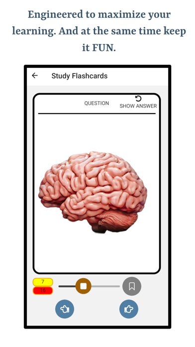 Human Organs IPA for iOS Download - PGYER IPAHUB