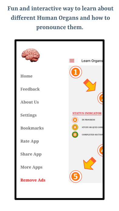Human Organs IPA for iOS Download - PGYER IPAHUB