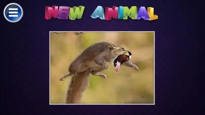 Simulator Morph Animal IPA für iOS herunterladen - PGYER IPAHUB